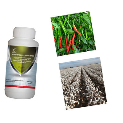 OEM HaNPV Soybean Pesticides Spray Liquid Onion Maggot High Efficiency ...