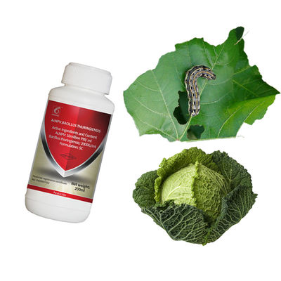 Maize Biological Insecticides Insect Resistant Corn Borer Pesticide ...