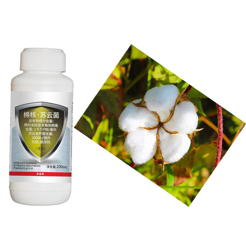 Cotton Boll Worm Organic Pesticide Natural Cotton Biological ...