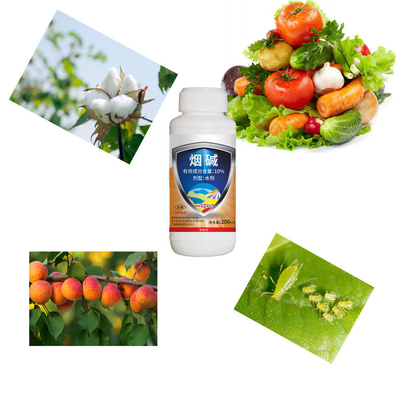 10% Nicotine Brown Planthopper Pesticides Aphid Control Insecticide