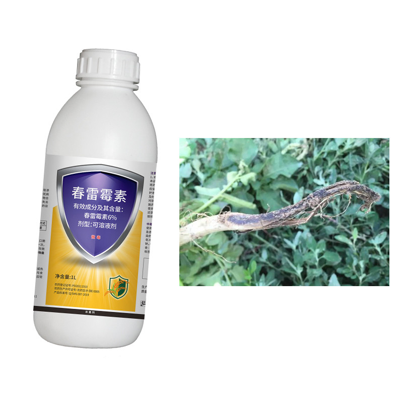 Antibiotic Bacterial Fungicides for Rice Leaf Neck Blast Full Ear Stage ...