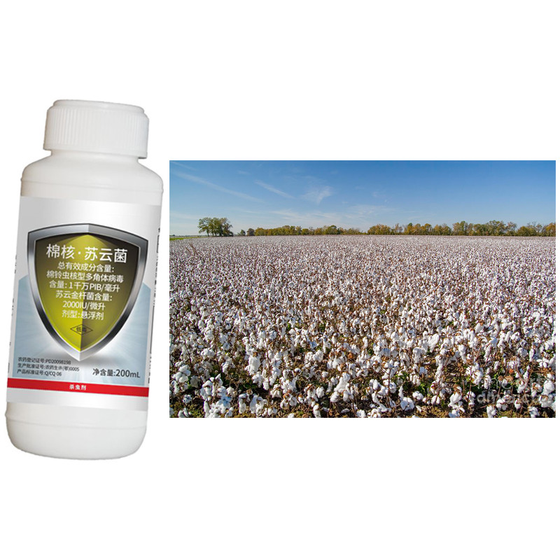 Biological Insecticides Bacillus Thuringiensis Organic Cotton Pesticide ...