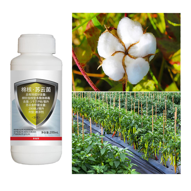 Biological Insecticides Bacillus Thuringiensis Organic Cotton Pesticide ...