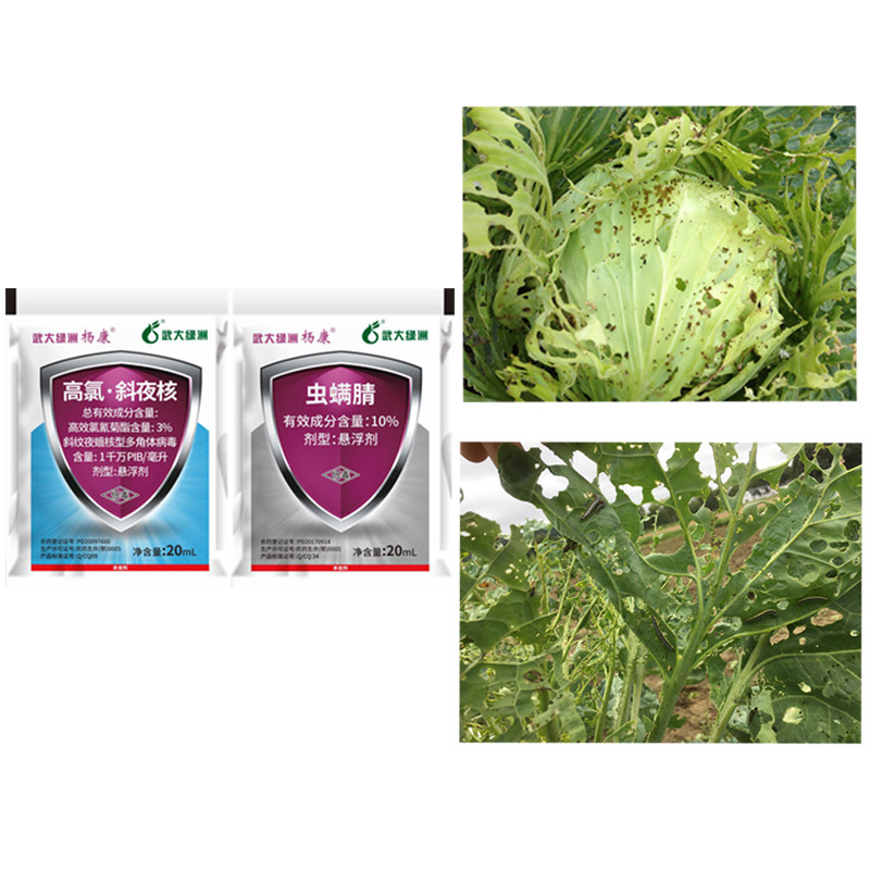 Biochemical Sweet Corn Earworm Insecticide Spray High Effective Insect ...