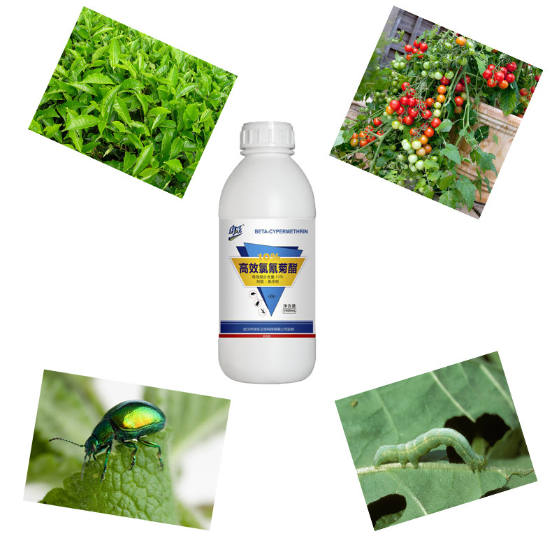 Agrochemical 10% Beta SC Cypermethrin Insecticide Products Spray For ...