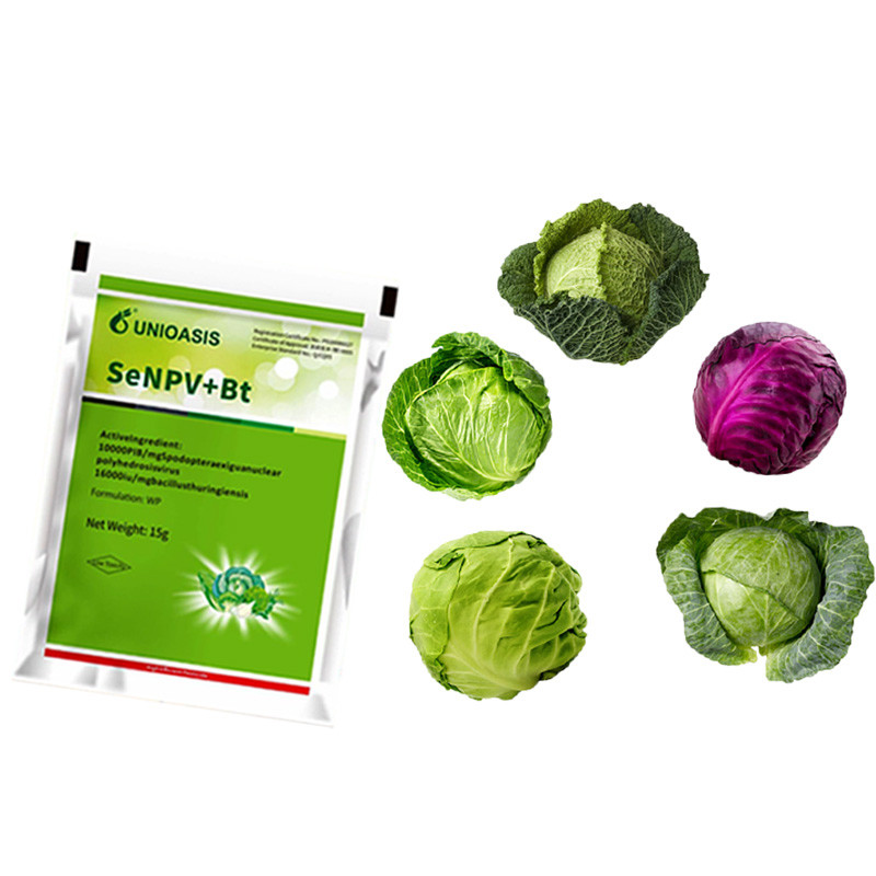 Natural Organic Insect Viral Pesticide SeNPV &Bt WP for Brassicaceous ...