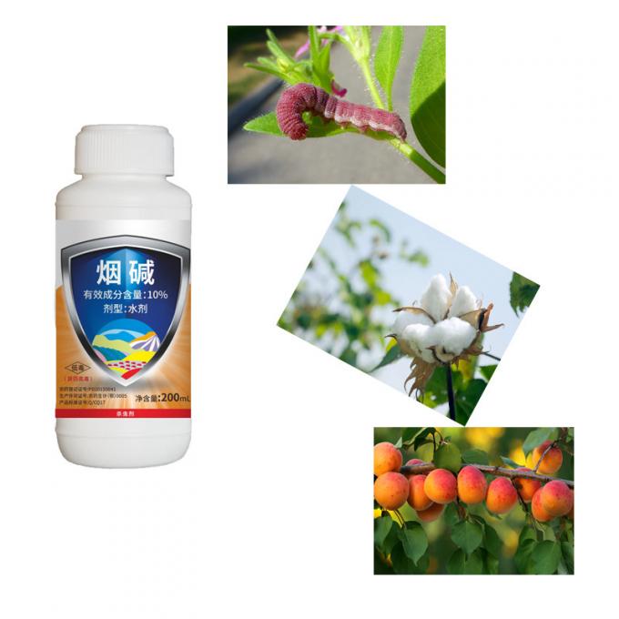 10% Nicotine Brown Planthopper Pesticides Aphid Control Insecticide