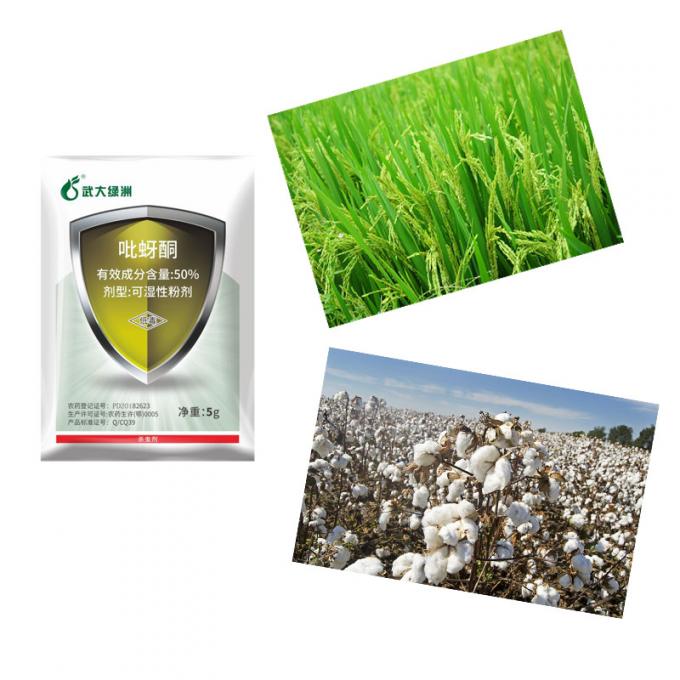 50% Pymetrozine WP Control Fruit And Vegetable Insecticide For Borer